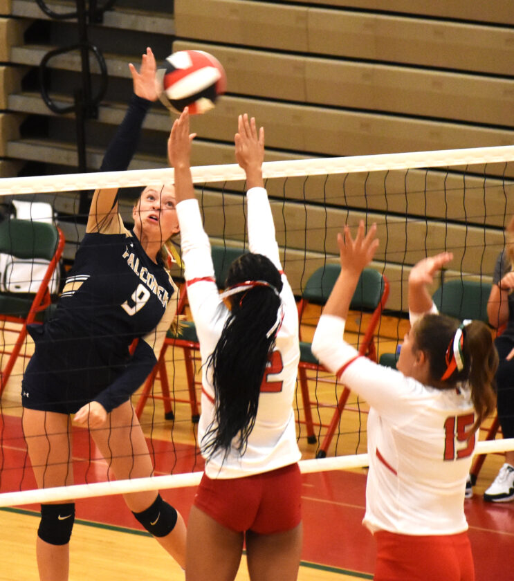 Zaraneks, Falconer Sweep Jamestown | News, Sports, Jobs - Post Journal
